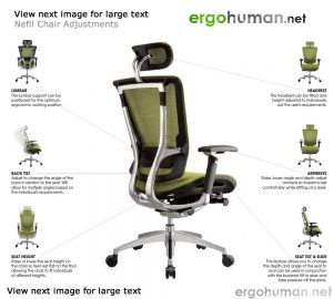 Nefil Office Chair Adjustments - Ergohuman Office Chairs